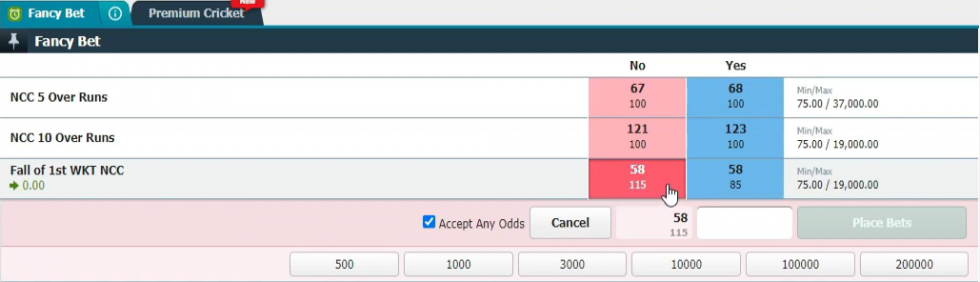 What is Fancy Bet? Cricket Betting Guides | MCW Casino